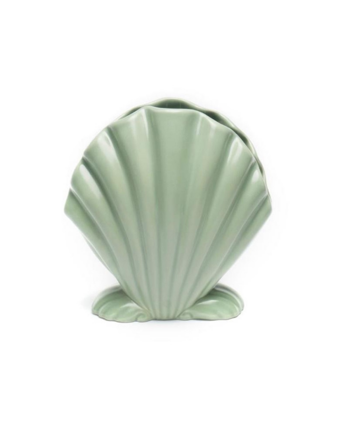 Seashell Vase | Homegrown Market